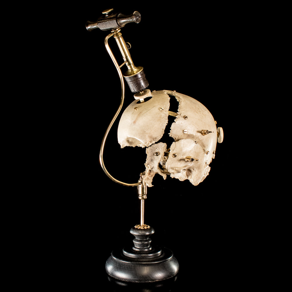 Real human skull, trepidation, vintage trephine, – Mattaeus Ball