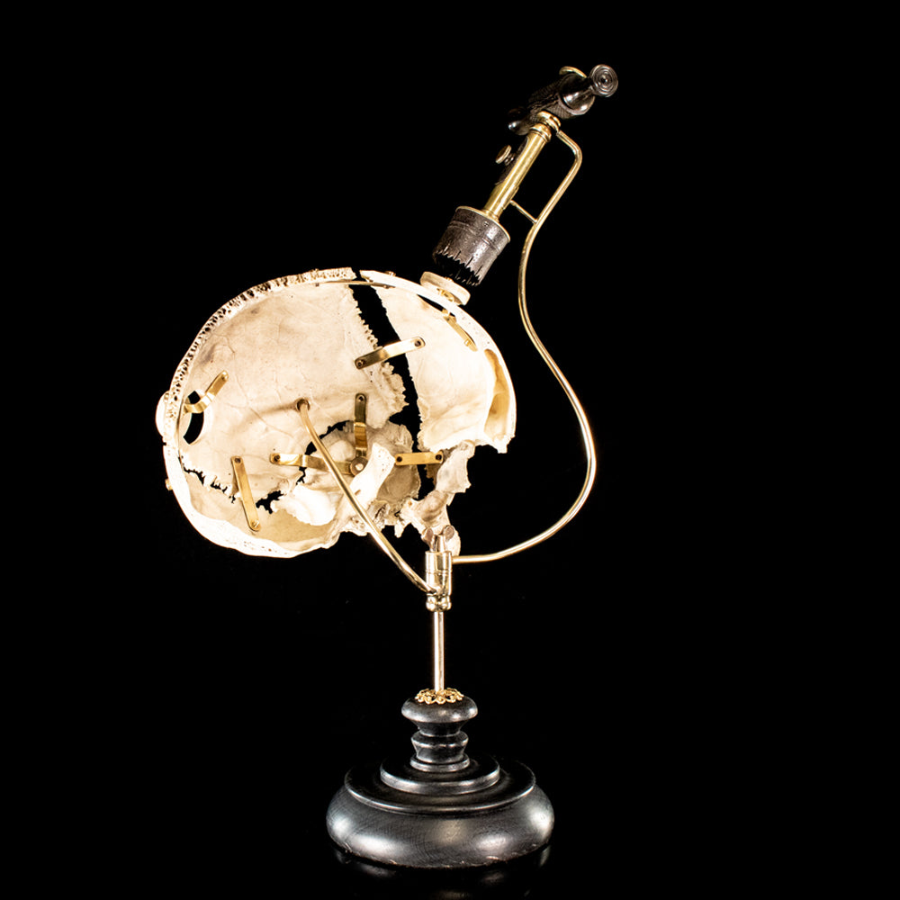 Real human skull, trepidation, vintage trephine, – Mattaeus Ball